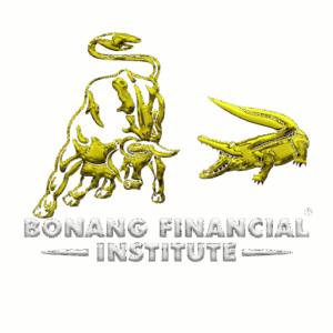 Vaultfunder Bonang Financial Institute Empowering You With Mathematics