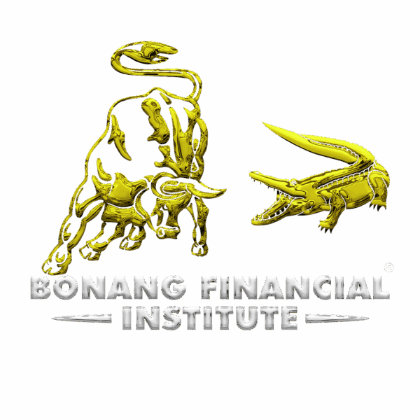 Comit Capital - Bonang Financial Institute | Empowering You with ...